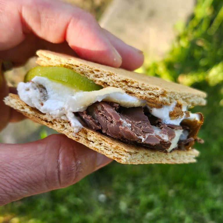 Smores Ideas with 15 Different Fun Combinations - Refresh Camping