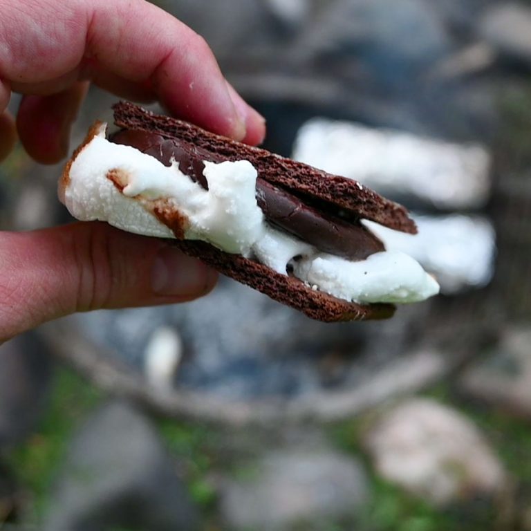 Smores Ideas with 15 Different Fun Combinations - Refresh Camping