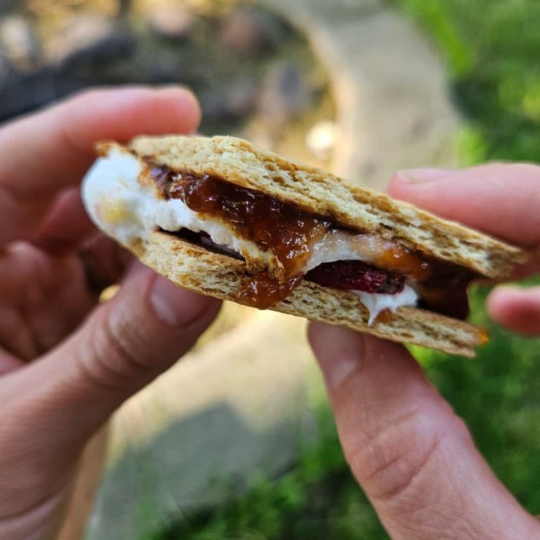 Smores Ideas with 15 Different Fun Combinations - Refresh Camping